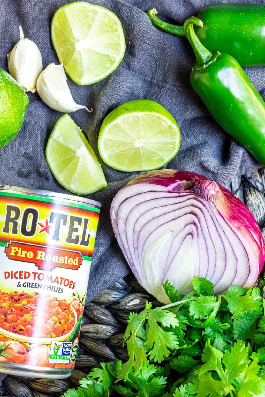 5 Minute Rotel Salsa Recipe - Home. Made. Interest.
