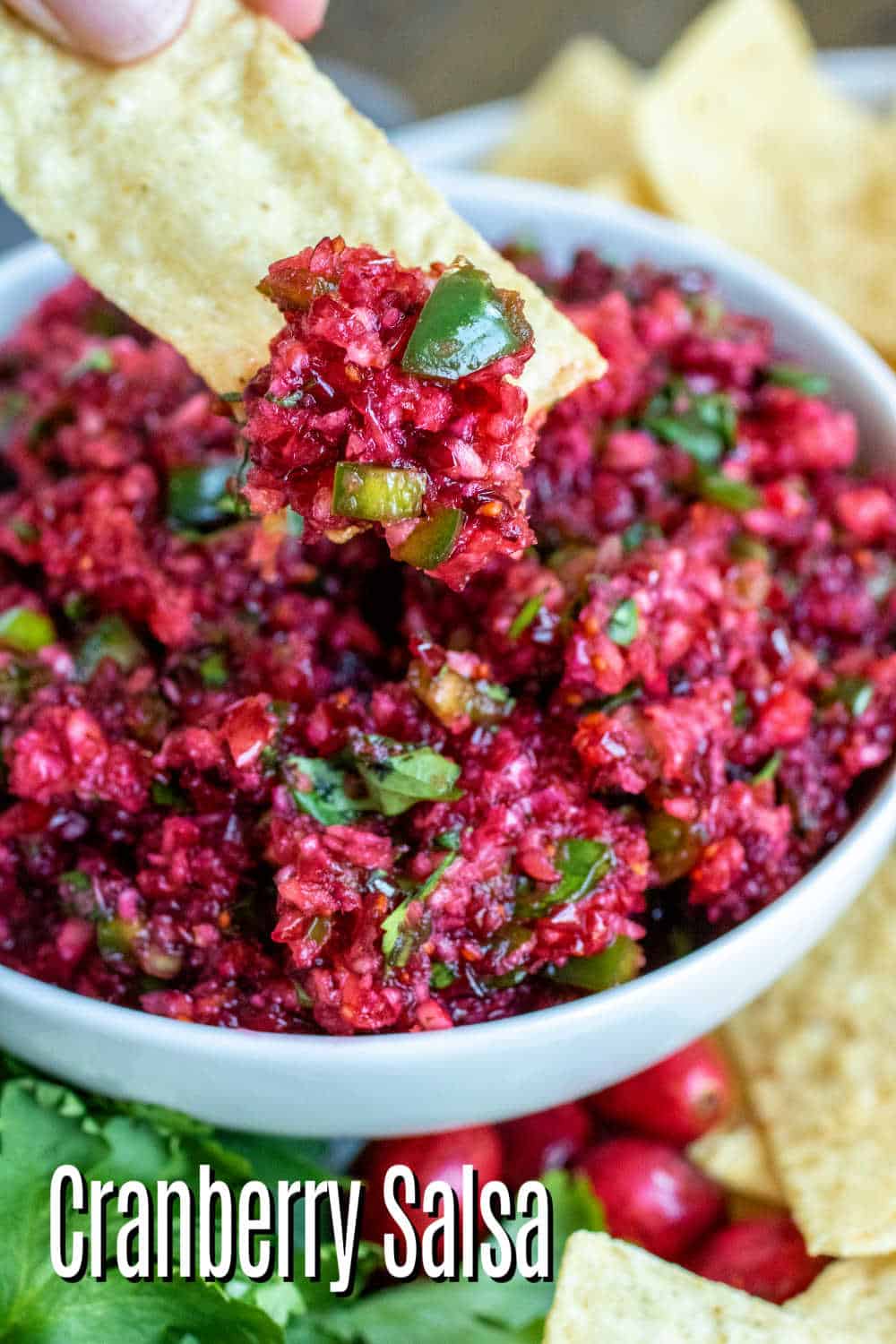 Fresh Cranberry Salsa Recipe - Home. Made. Interest.