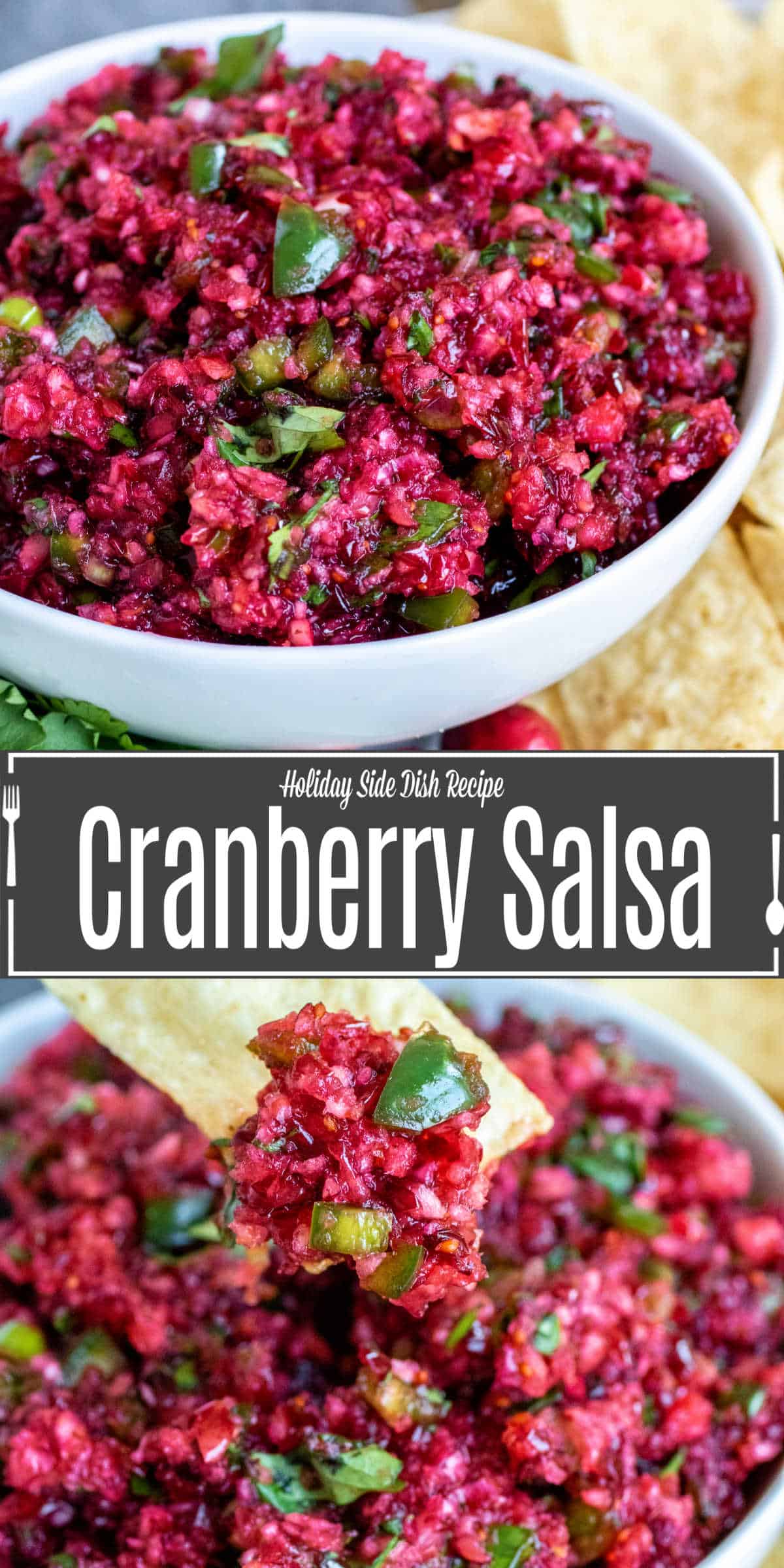 Fresh Cranberry Salsa Recipe - Home. Made. Interest.