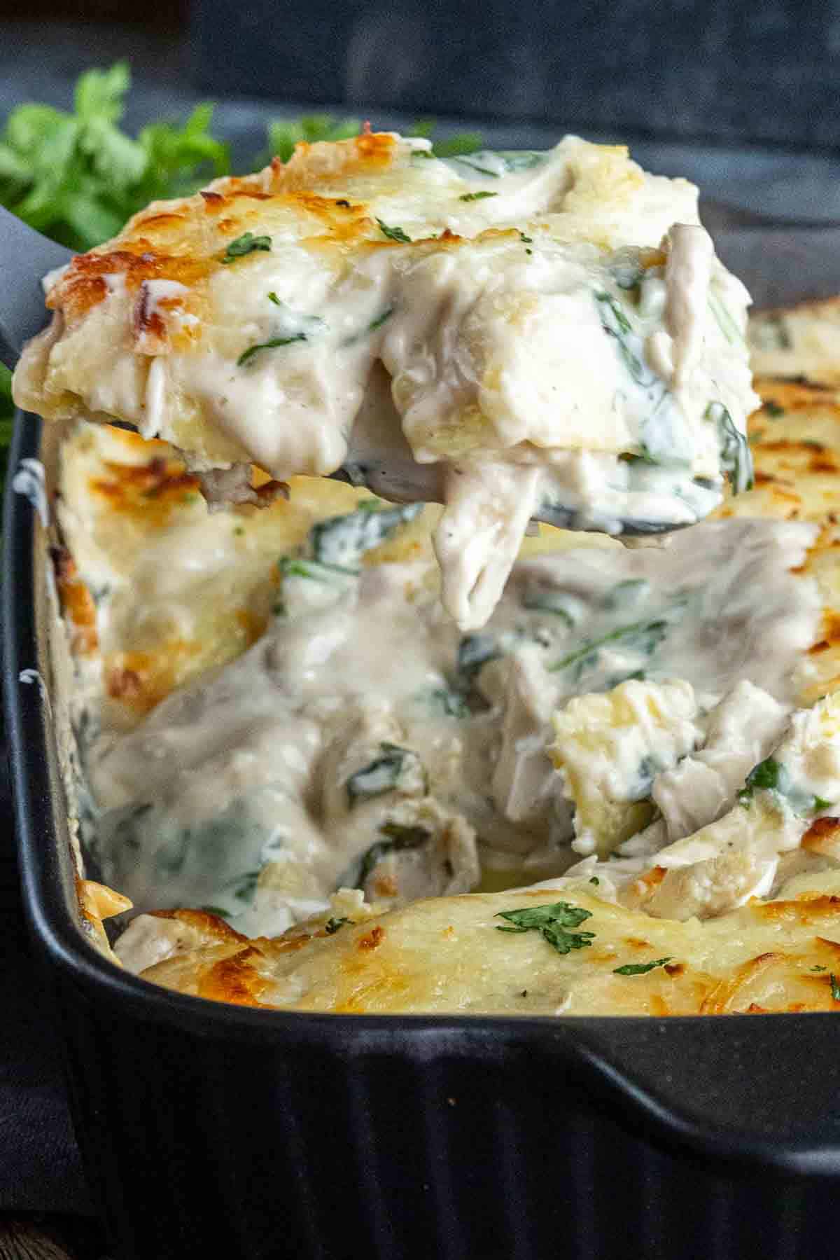 Lazy Chicken Alfredo Lasagna - Home. Made. Interest.