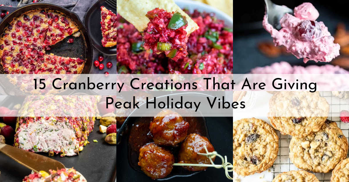 15 Cranberry Creations That Are Giving Peak Holiday Vibes - Home. Made ...